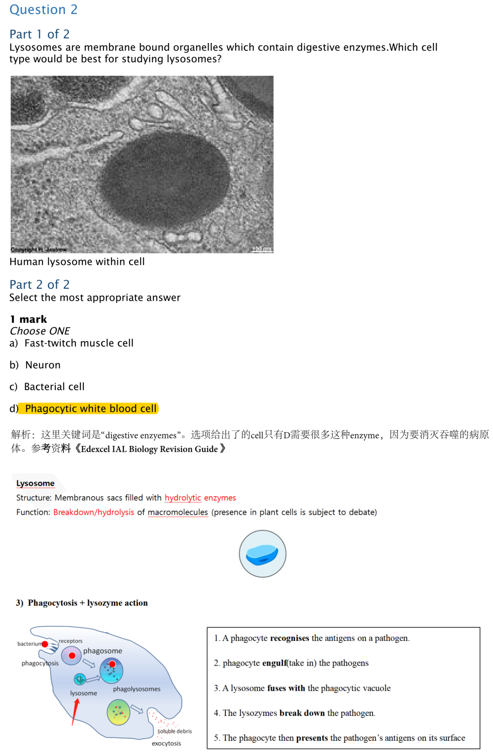 英国生物奥林匹克BBO真题解析（2022） - 国际竞赛联盟