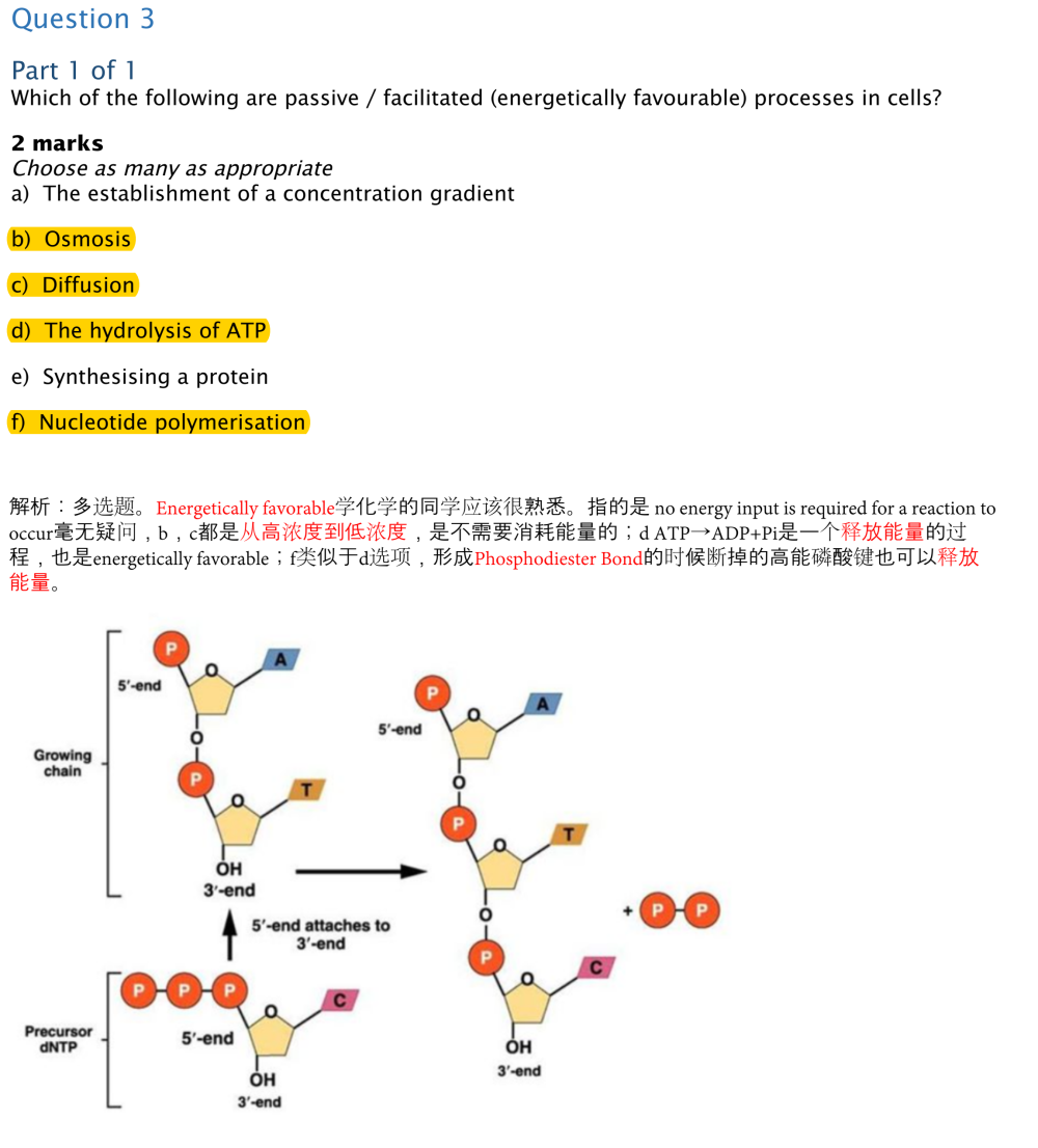 英国生物奥林匹克BBO真题解析（2022） - 国际竞赛联盟